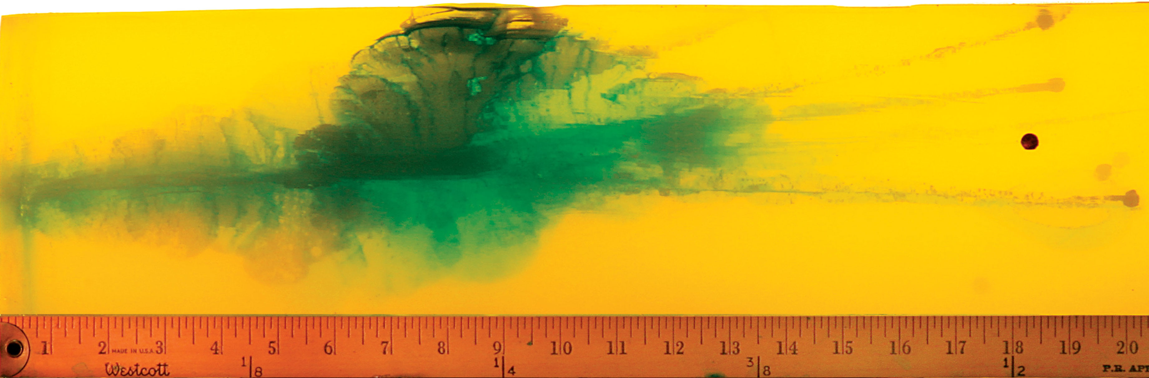 Law Enforcement - Federal Premium LE, Speer LE, BLACKHAWK!, Eagle ...